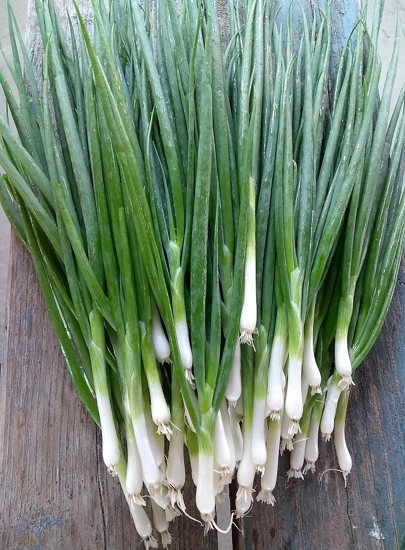 Queue D’oignon – sms